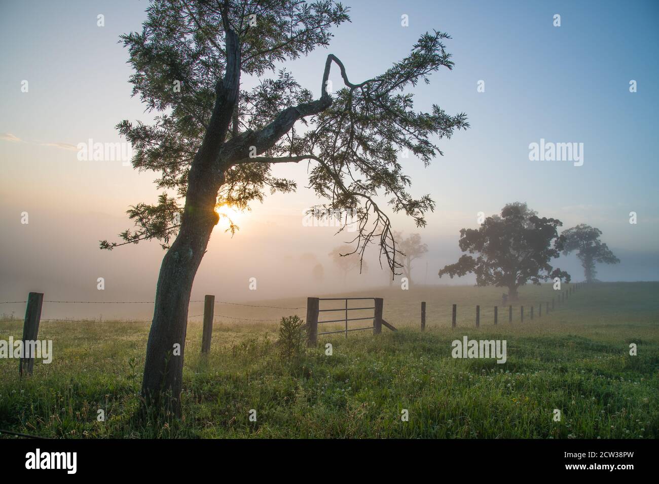 Early morning country landscape with paddocks and trees at Gresford ...