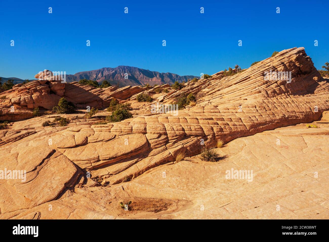 Sandstone formations in Utah, USA. Beautiful Unusual landscapes Stock ...