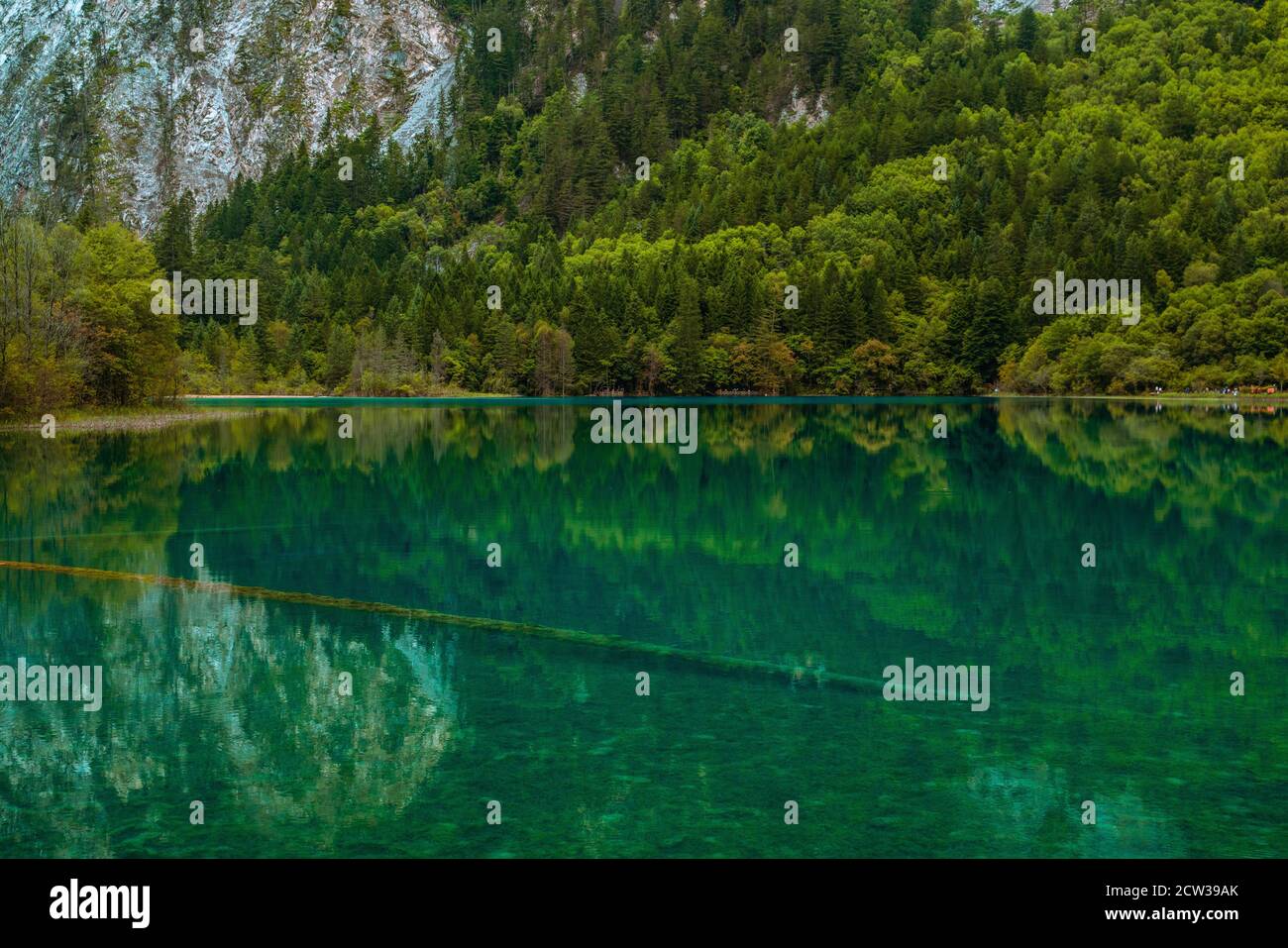 The turquoise color lakes in Jiuzhai Valley, with the forest in autumn ...
