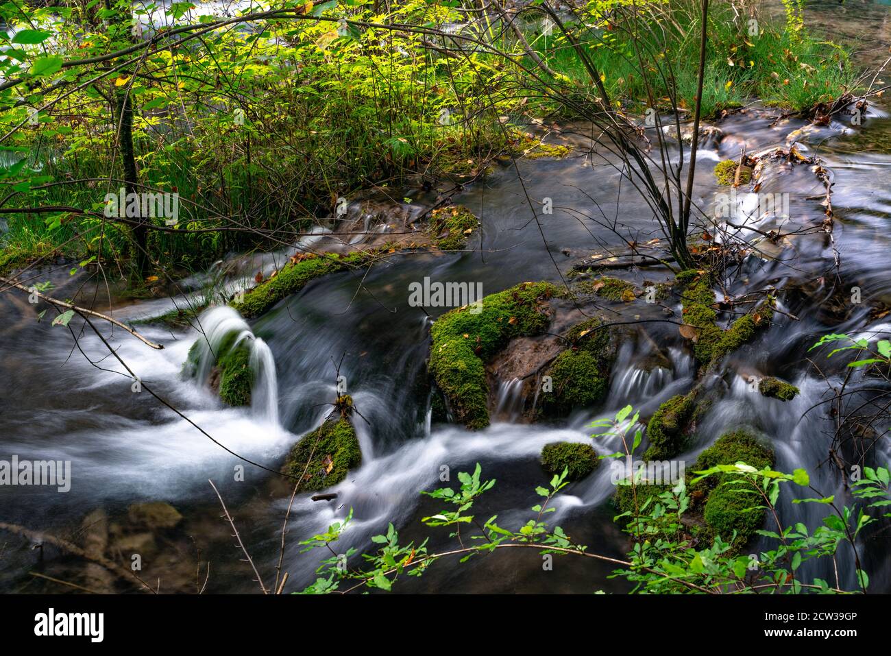Sichuan jiuzhaigou tree are waterfalls hi-res stock photography and ...