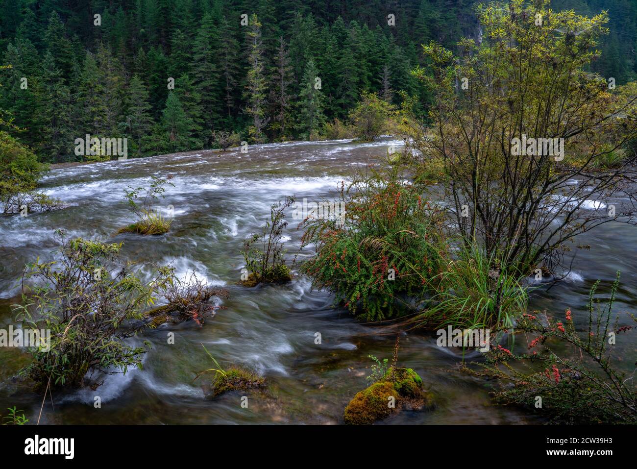 The waterfalls and small streams in Jiuzhai Valley, Sichuan province ...