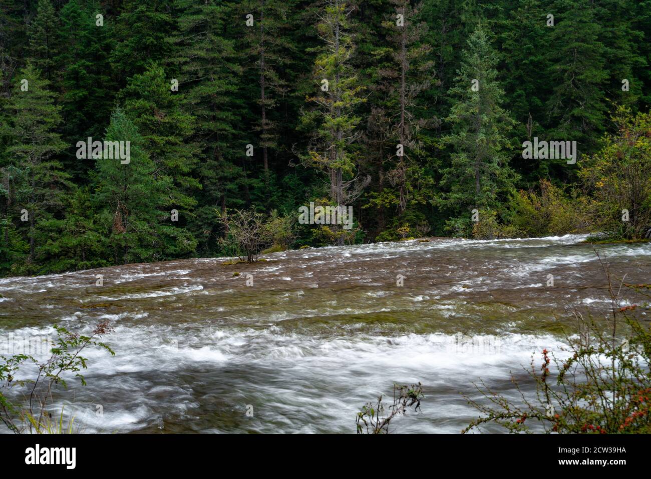 The waterfalls and small streams in Jiuzhai Valley, Sichuan province ...