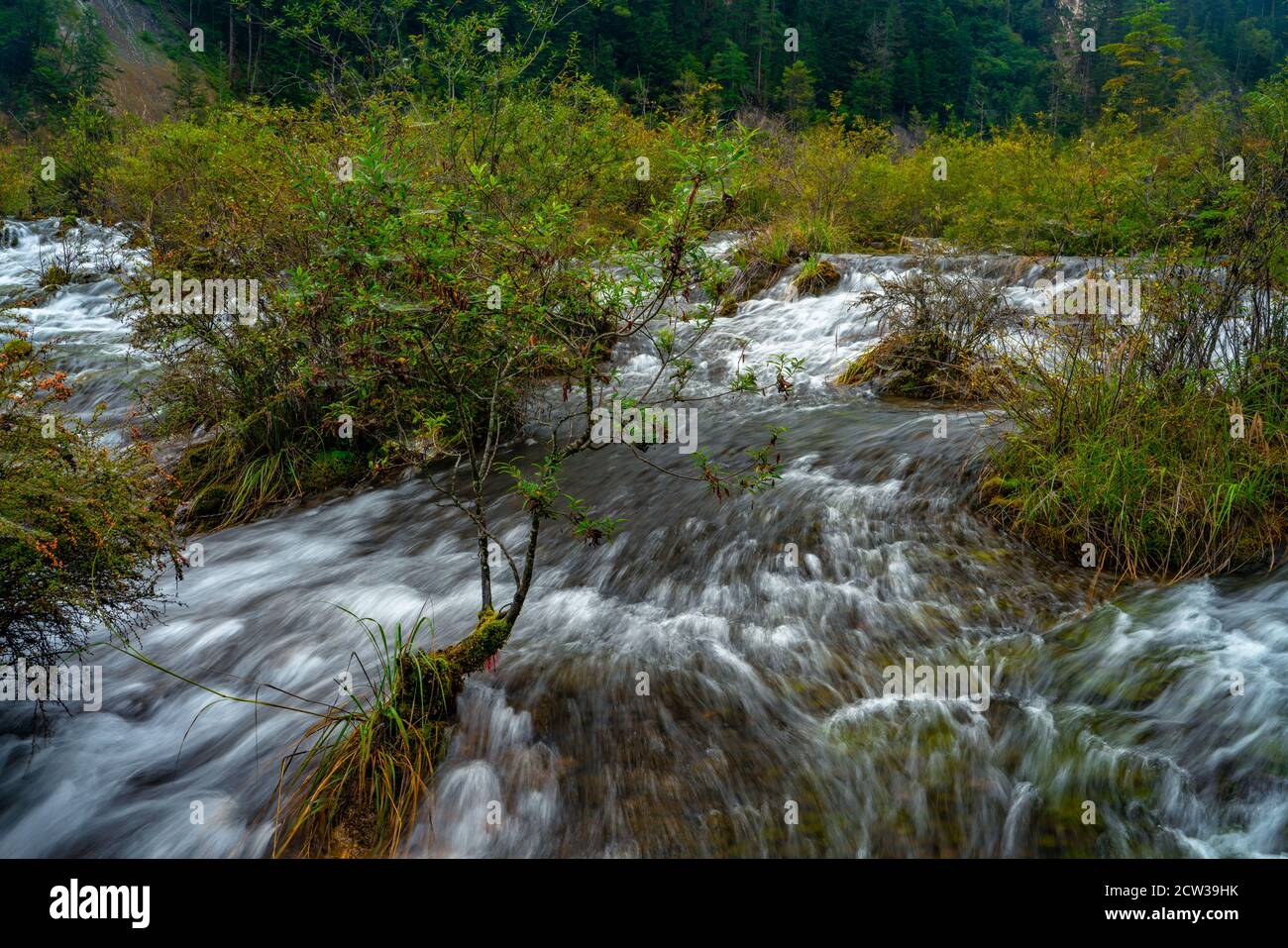 The waterfalls and small streams in Jiuzhai Valley, Sichuan province ...