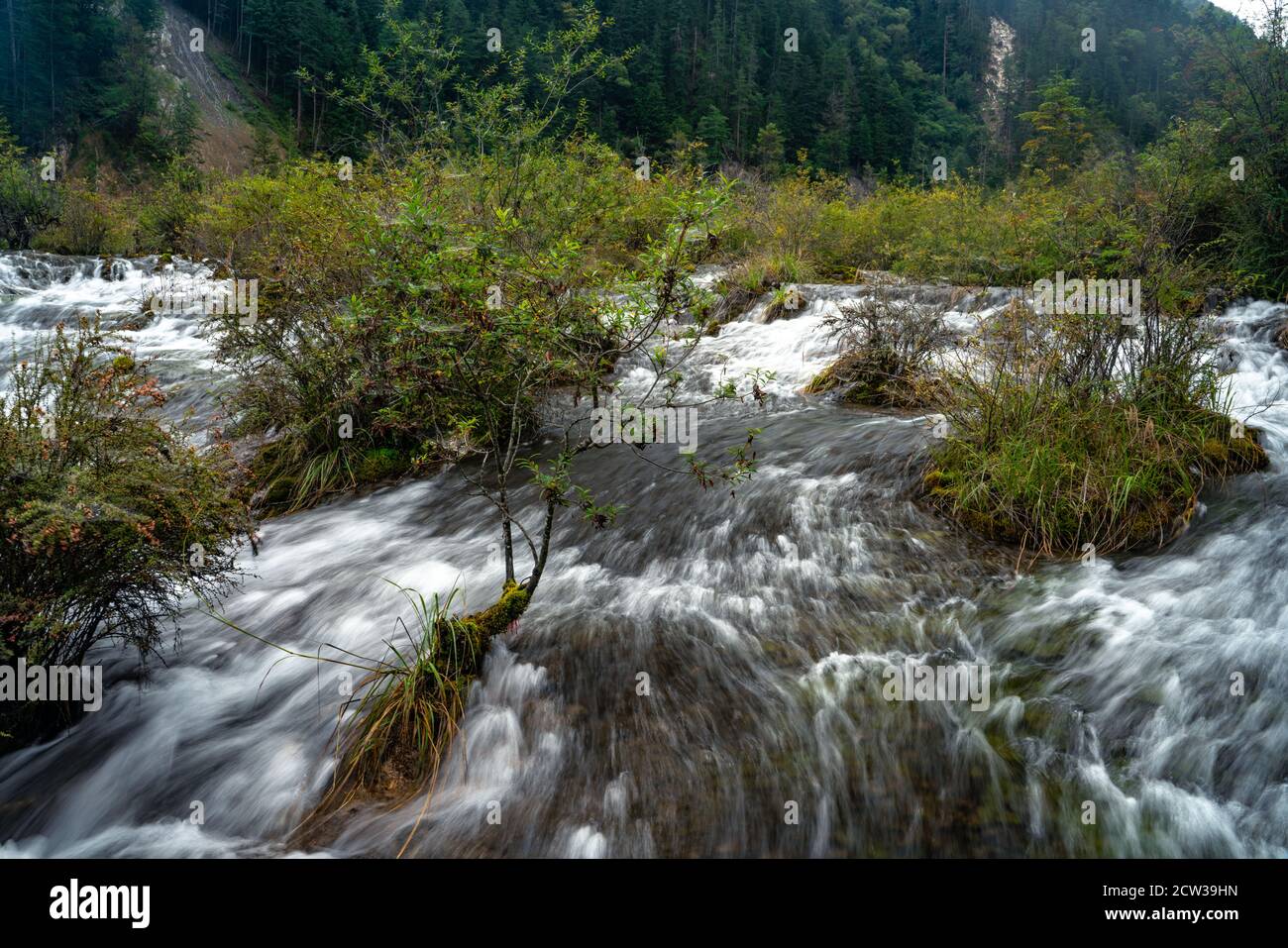 The waterfalls and small streams in Jiuzhai Valley, Sichuan province ...
