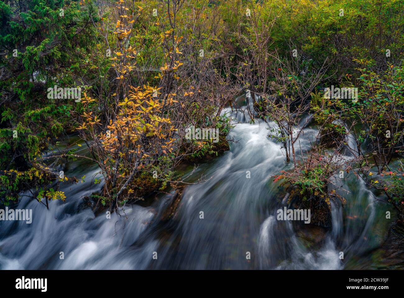 The waterfalls and small streams in Jiuzhai Valley, Sichuan province ...
