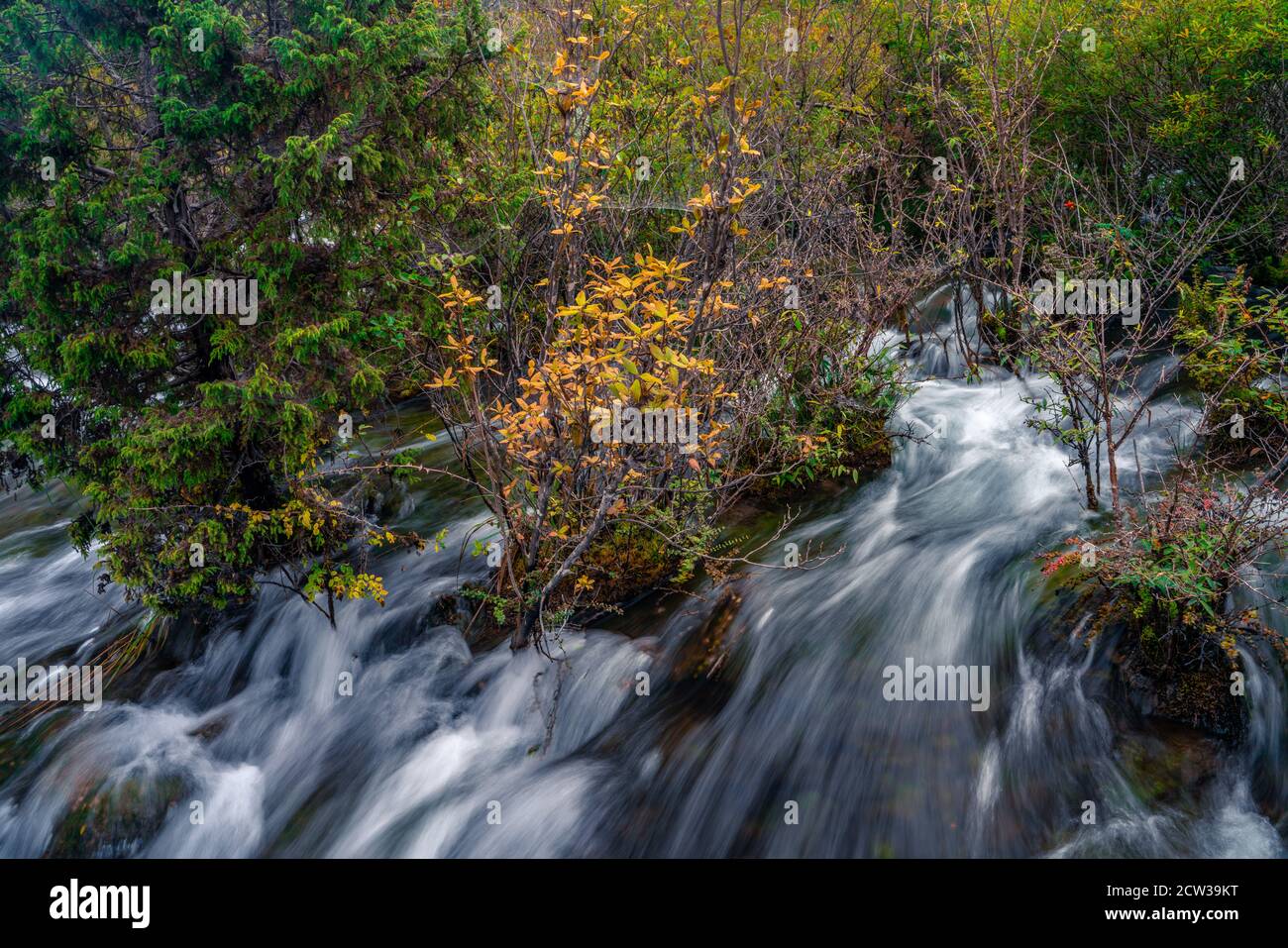 The waterfalls and small streams in Jiuzhai Valley, Sichuan province ...