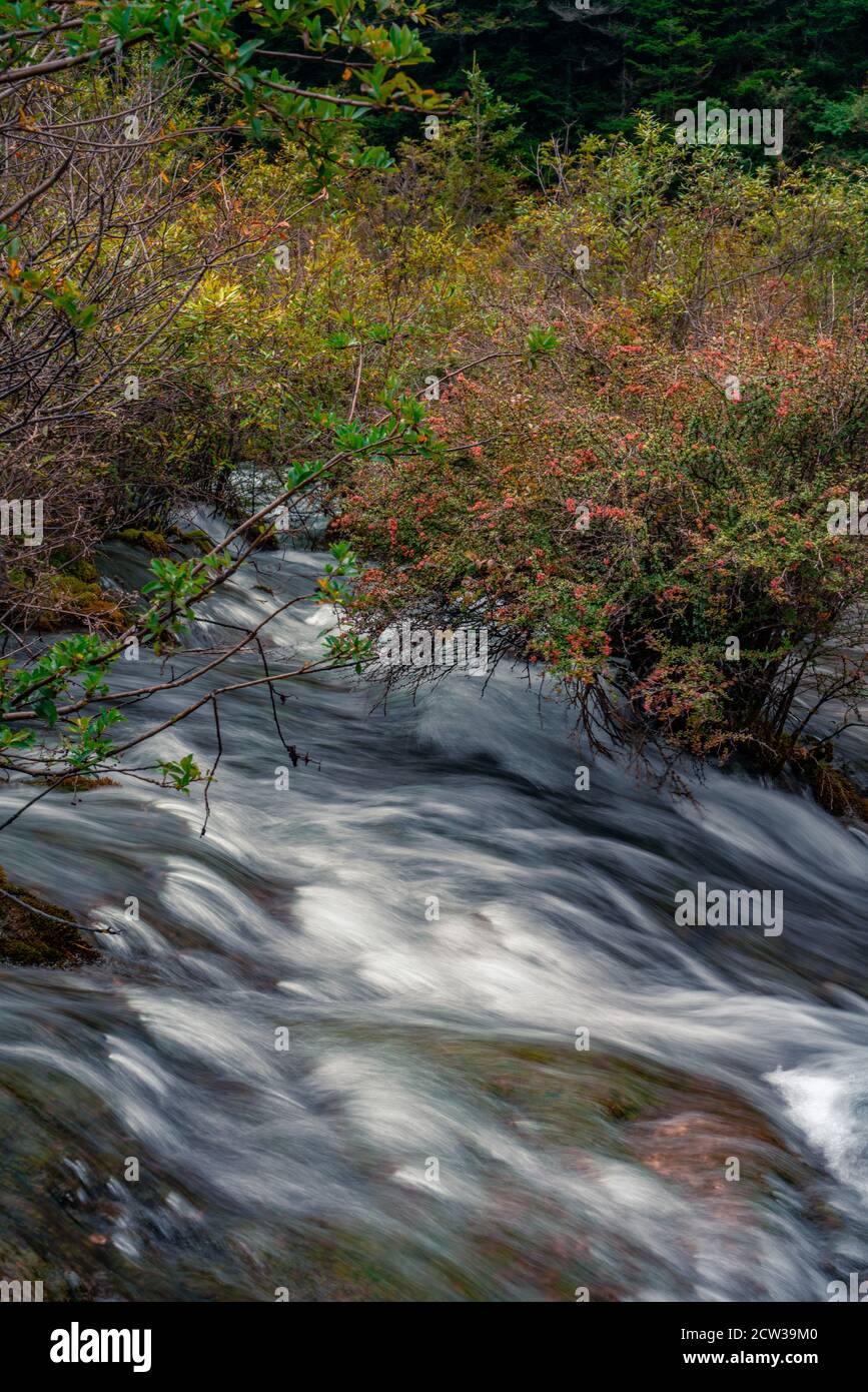 The waterfalls and small streams in Jiuzhai Valley, Sichuan province ...