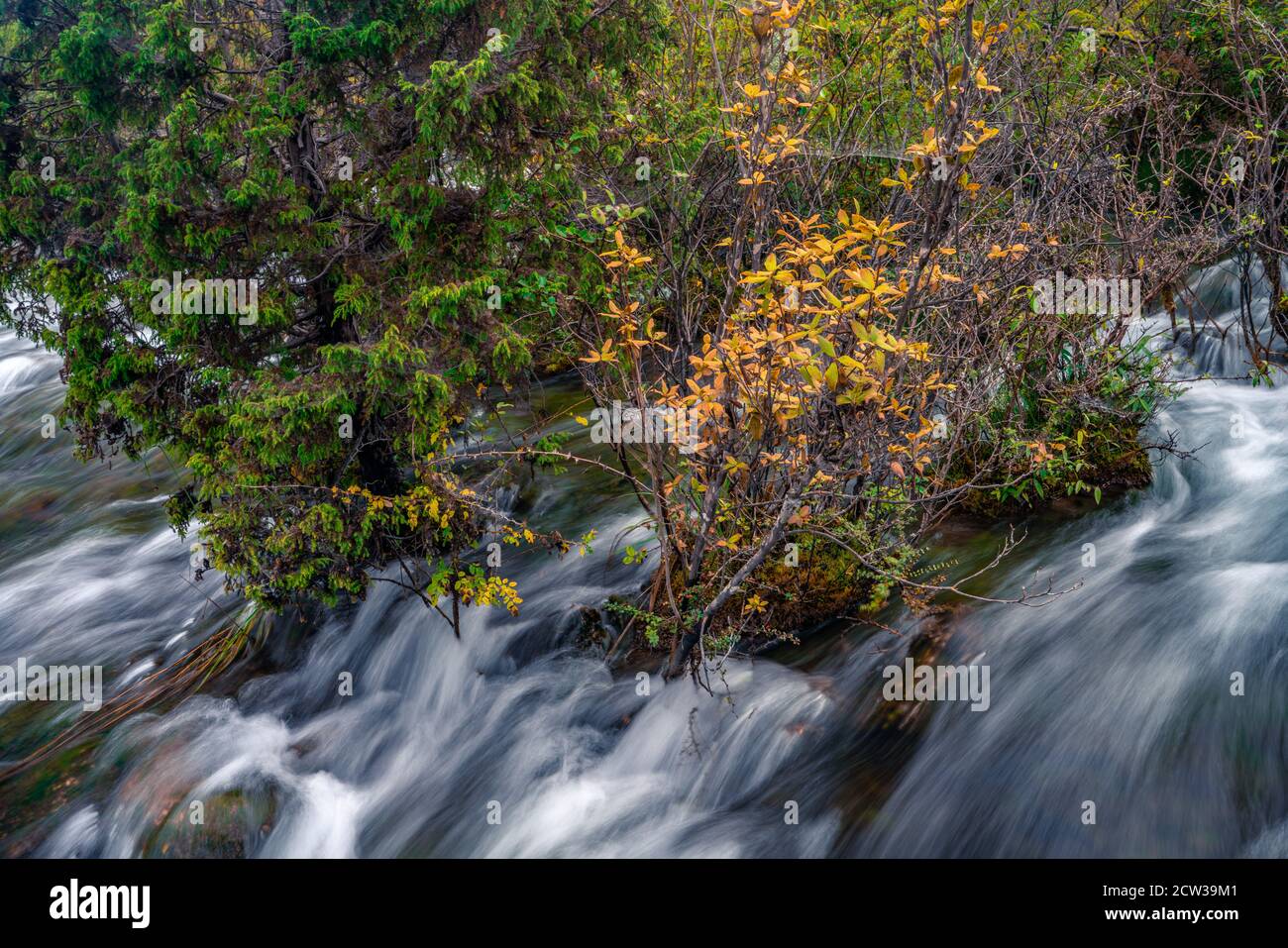 The waterfalls and small streams in Jiuzhai Valley, Sichuan province ...
