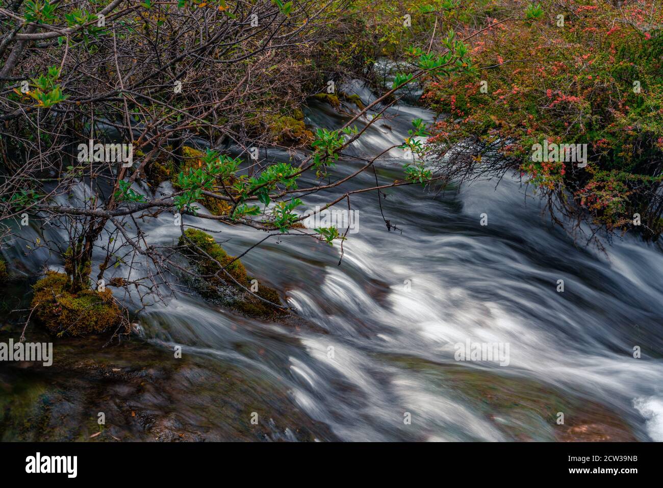 The waterfalls and small streams in Jiuzhai Valley, Sichuan province ...
