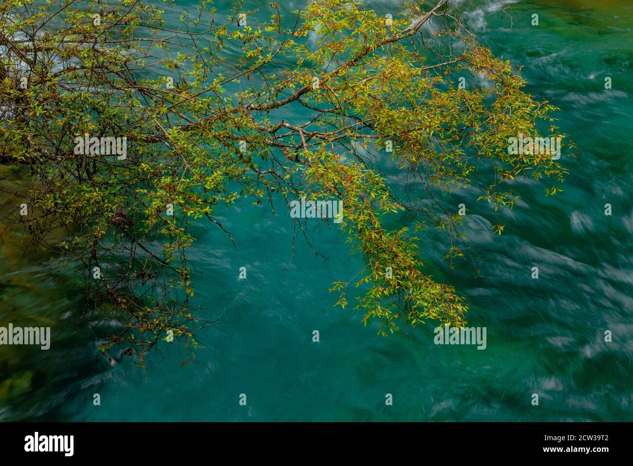 The waterfalls and small streams in Jiuzhai Valley, Sichuan province ...