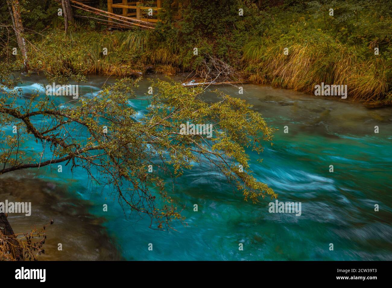 The waterfalls and small streams in Jiuzhai Valley, Sichuan province ...