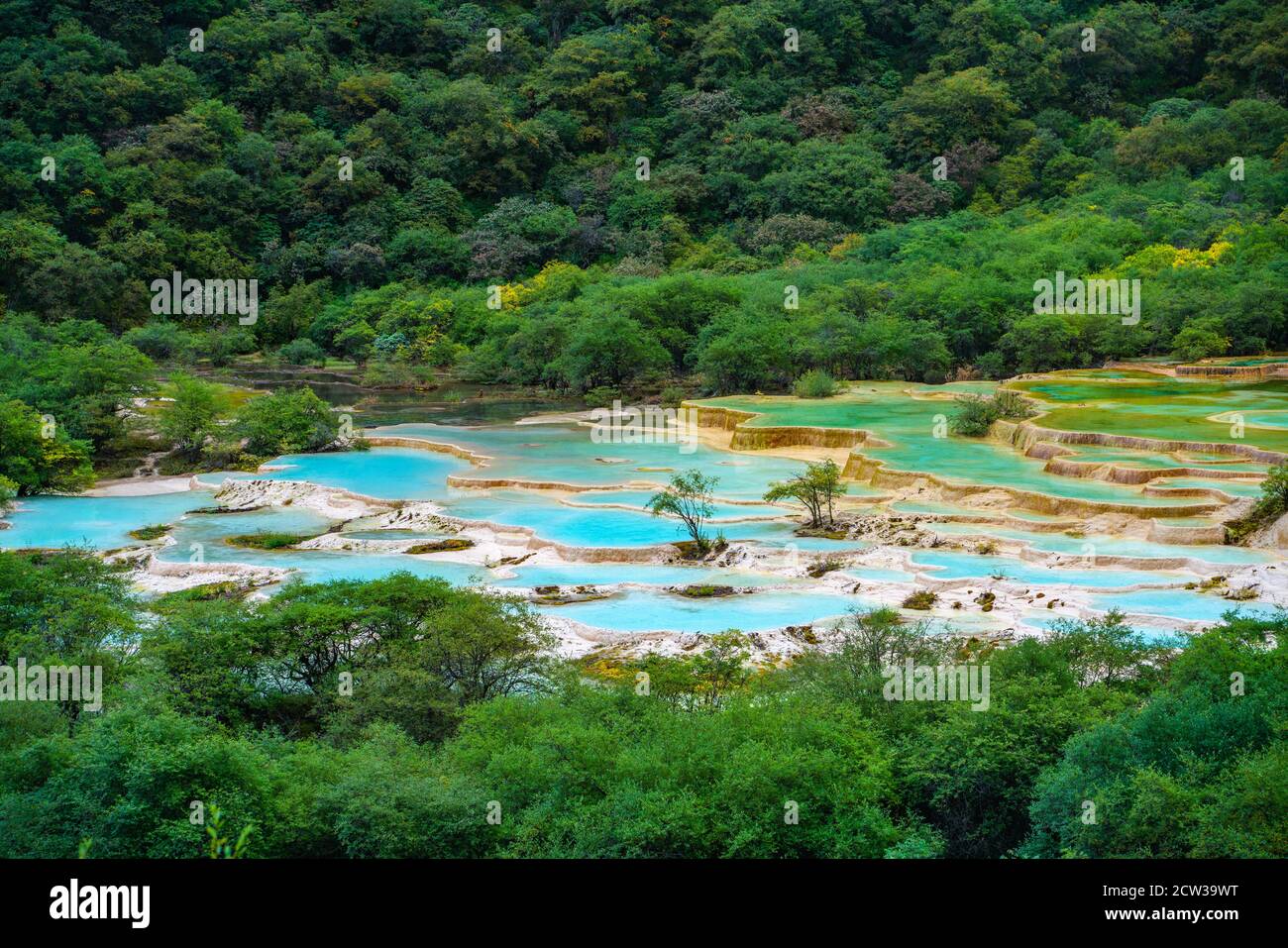 The turquoise color pools in Huanglong Valley, in Sichuan province ...