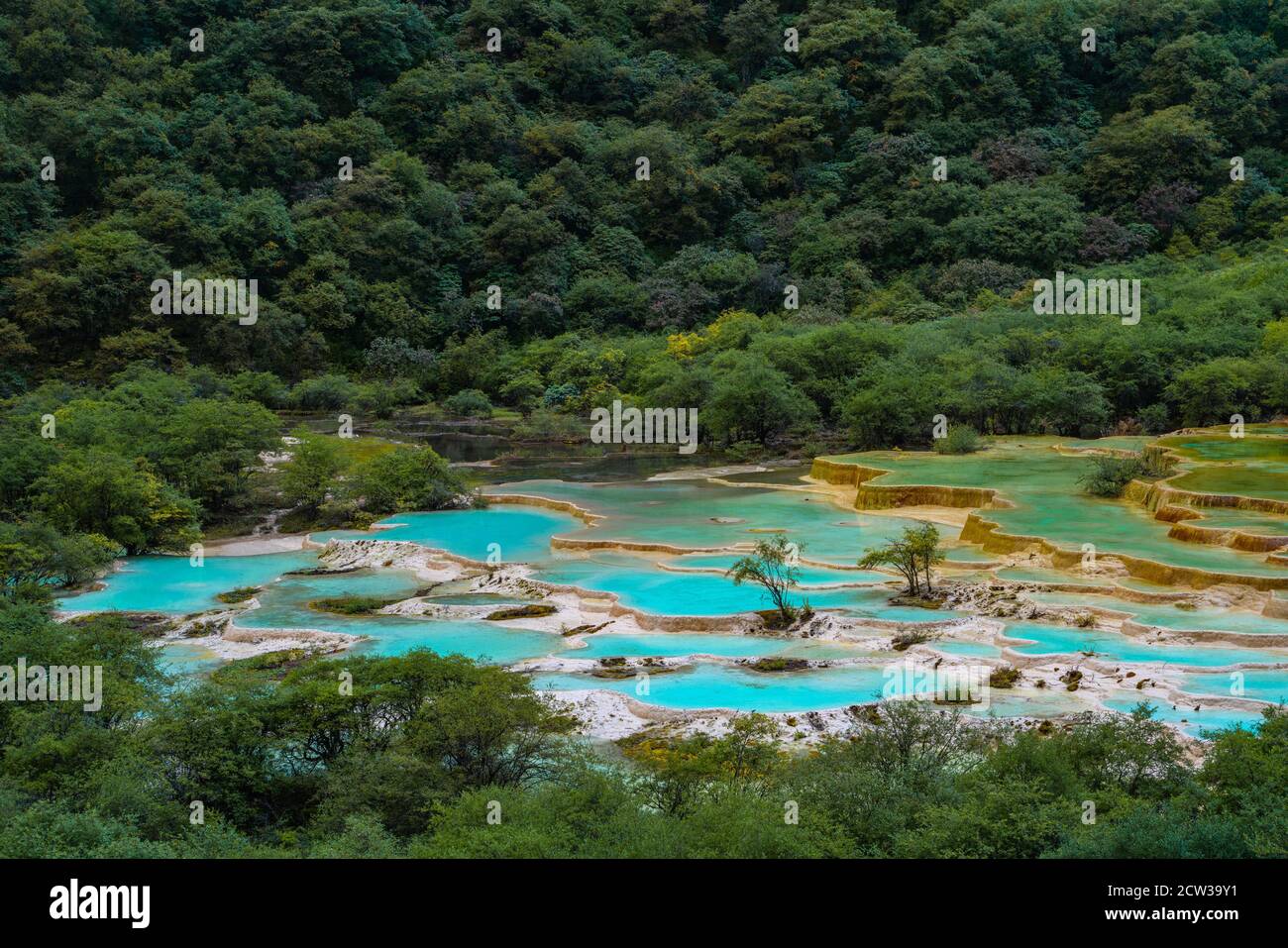 The turquoise color pools in Huanglong Valley, in Sichuan province ...