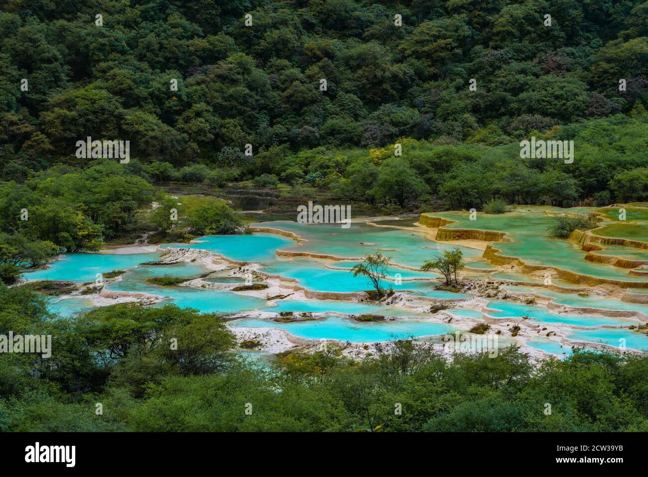 The turquoise color pools in Huanglong Valley, in Sichuan province ...