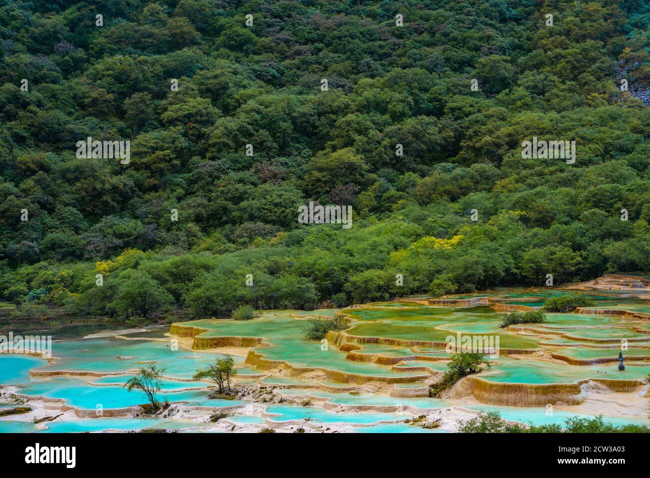 The turquoise color pools in Huanglong Valley, in Sichuan province ...
