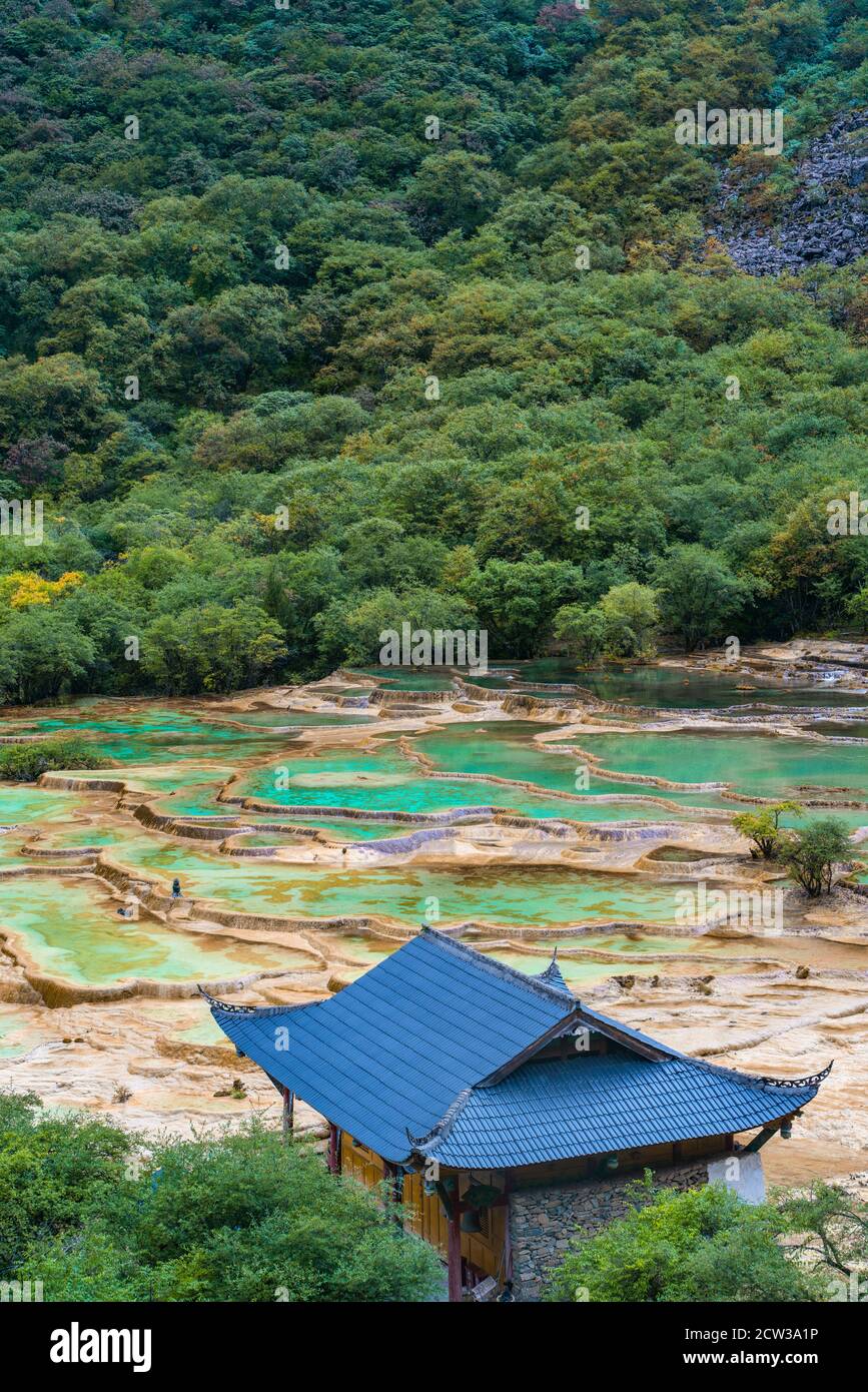 The turquoise color pools in Huanglong Valley, in Sichuan province ...