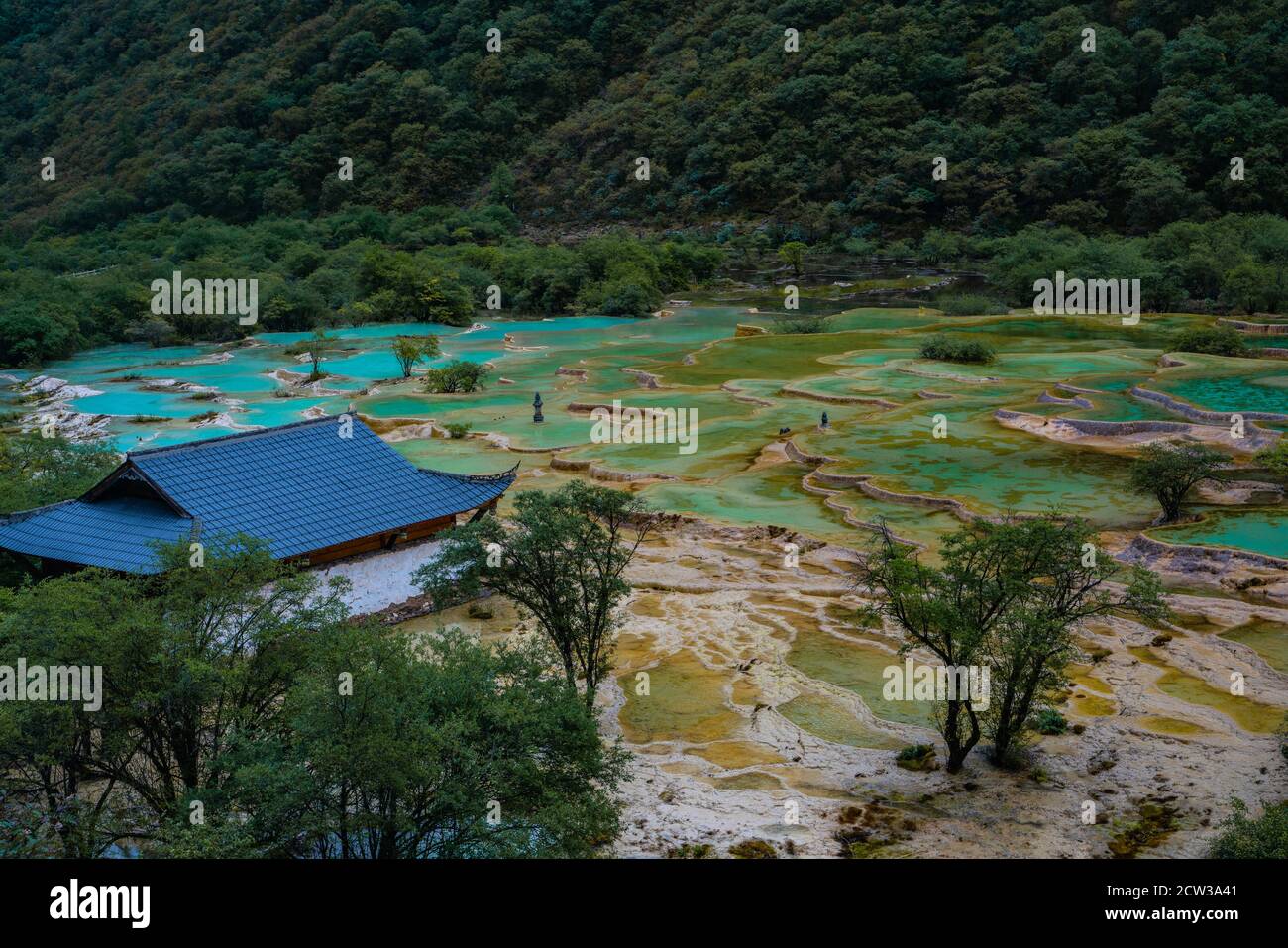 The colorful pools in Huanglong Valley, in Sichuan province, China ...