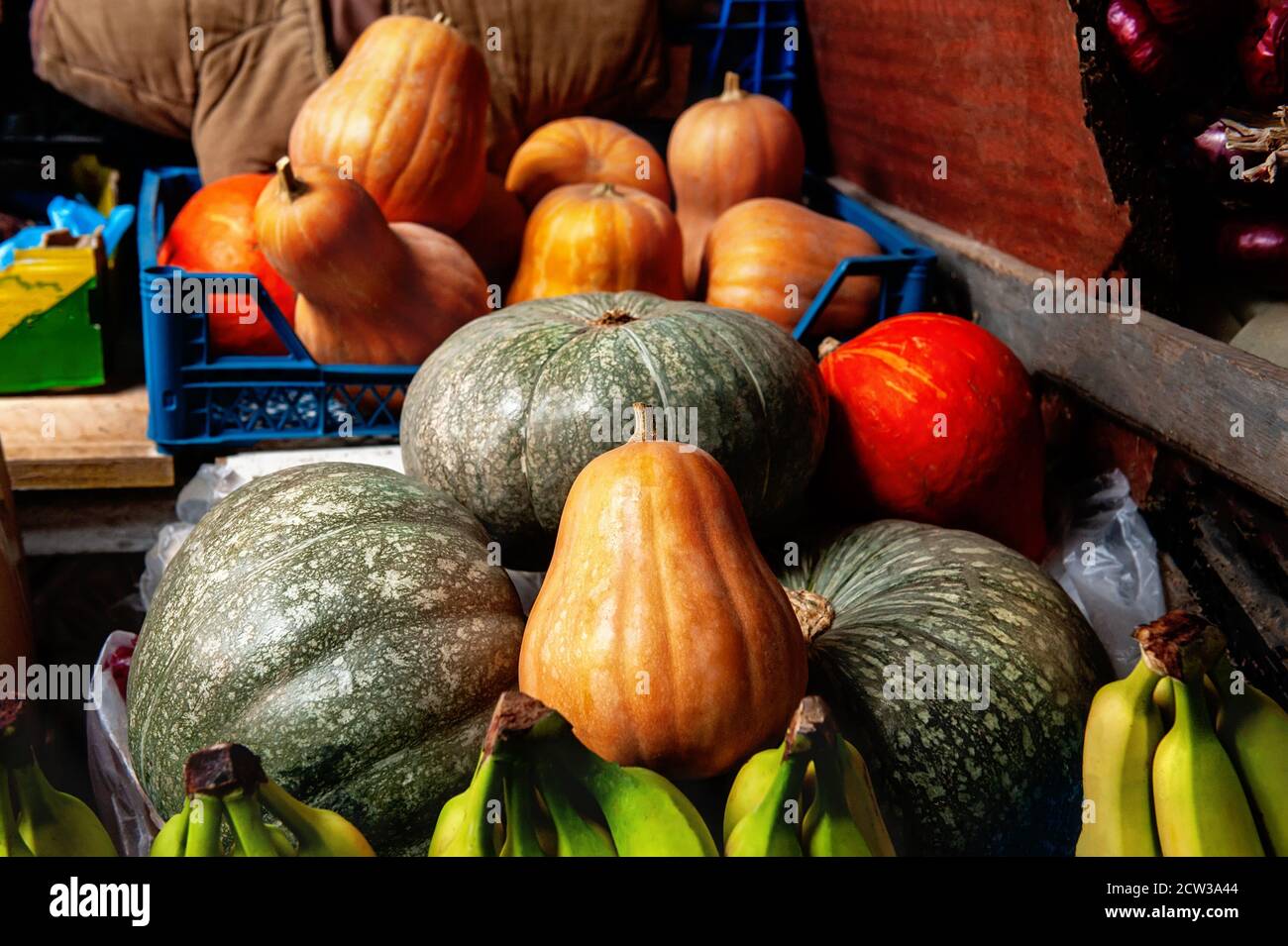 Fresh pumpkins of various grades on a market counter Stock Photo - Alamy