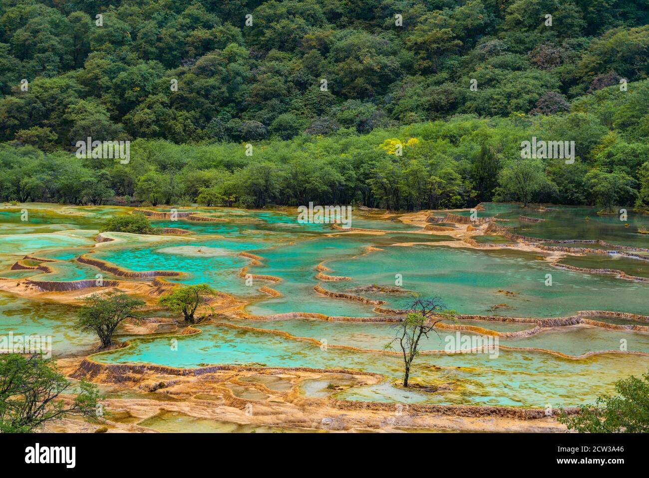 The turquoise color pools in Huanglong Valley, in Sichuan province ...