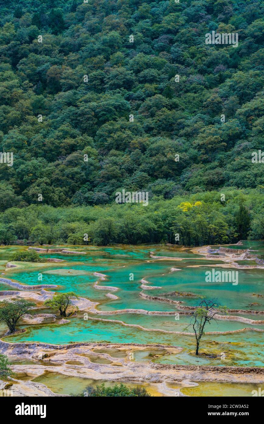 The turquoise color pools in Huanglong Valley, in Sichuan province ...