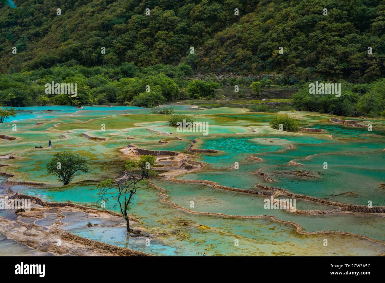 The turquoise color pools in Huanglong Valley, in Sichuan province ...