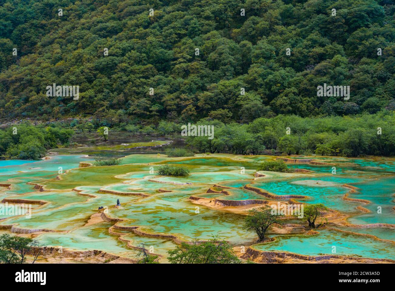 The turquoise color pools in Huanglong Valley, in Sichuan province ...