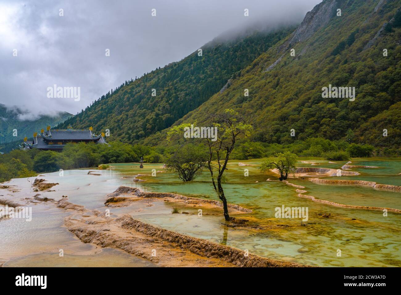 The colorful pools in Huanglong Valley, in Sichuan province, China ...