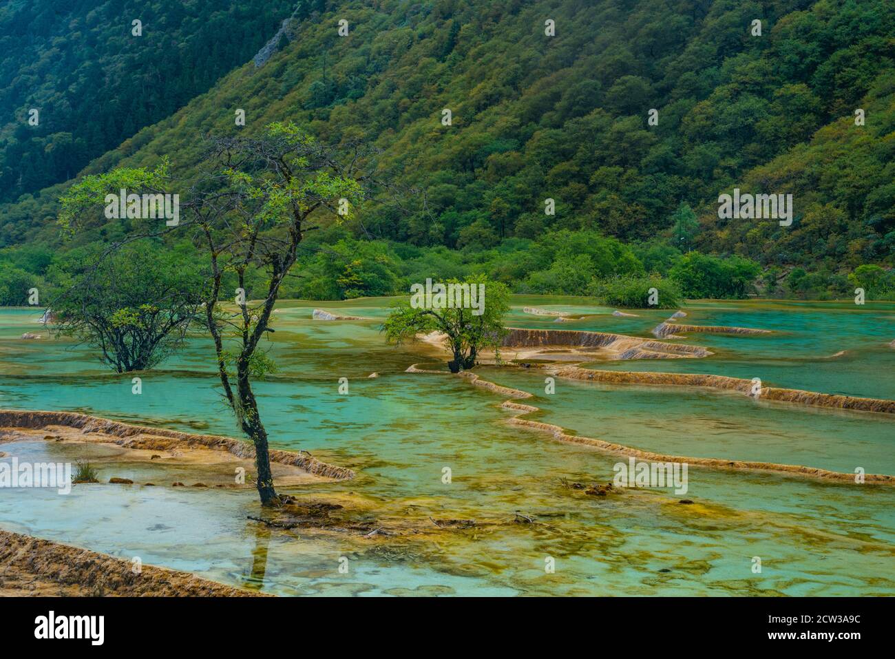The turquoise color pools in Huanglong Valley, in Sichuan province ...