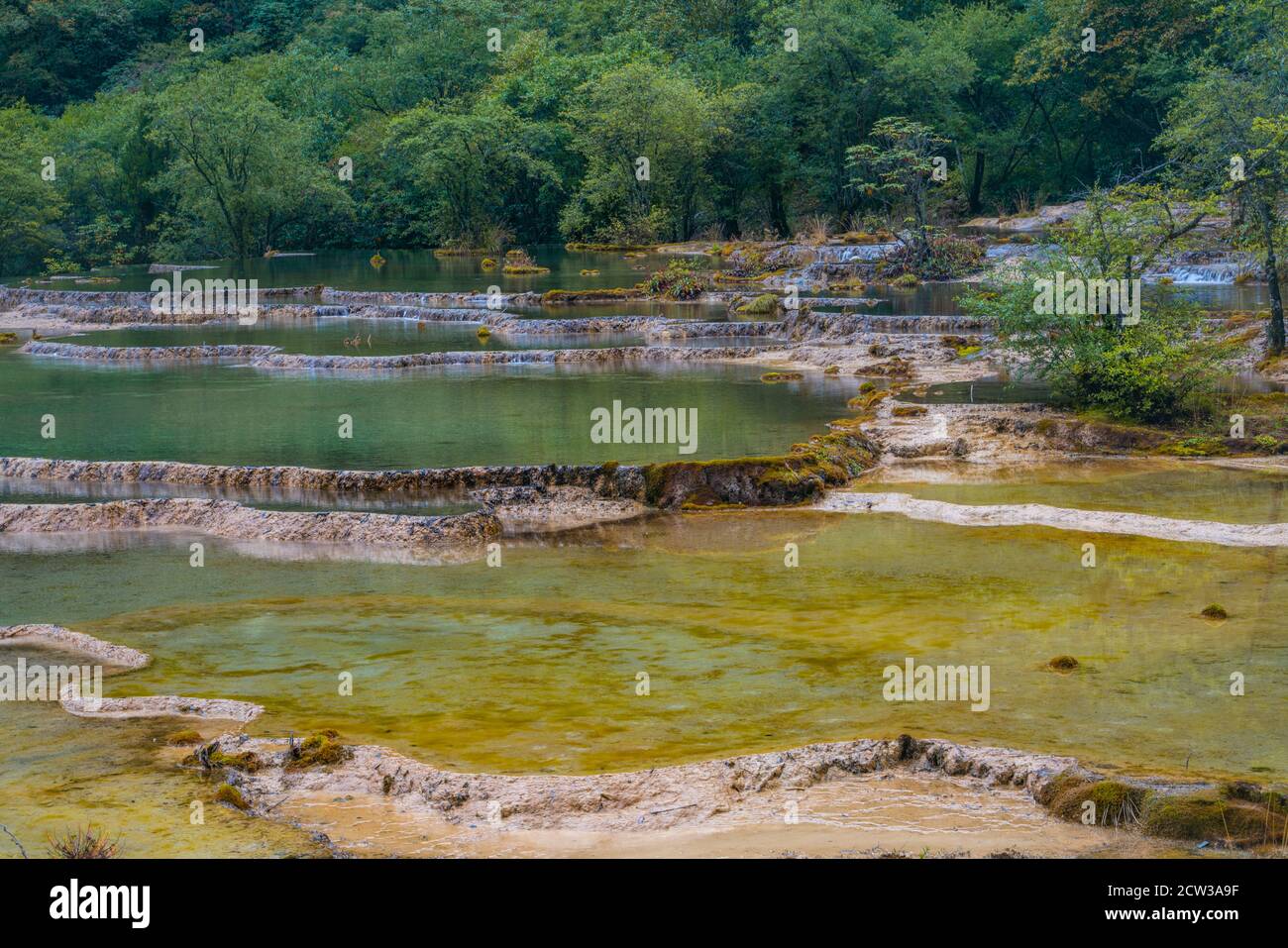 The turquoise color pools in Huanglong Valley, in Sichuan province ...