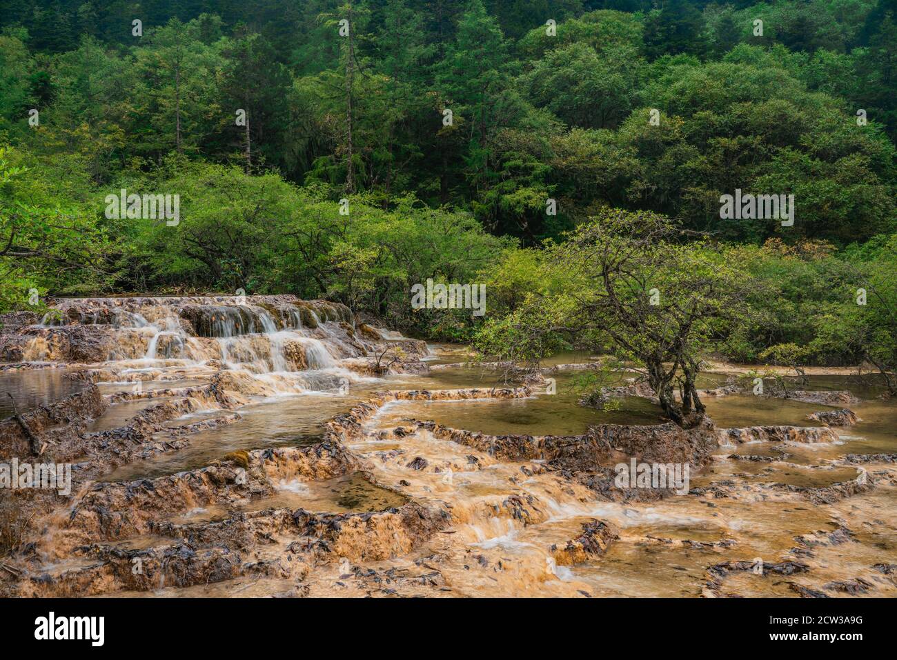 The small waterfalls and colorful pools in Huanglong Valley, Sichuan ...