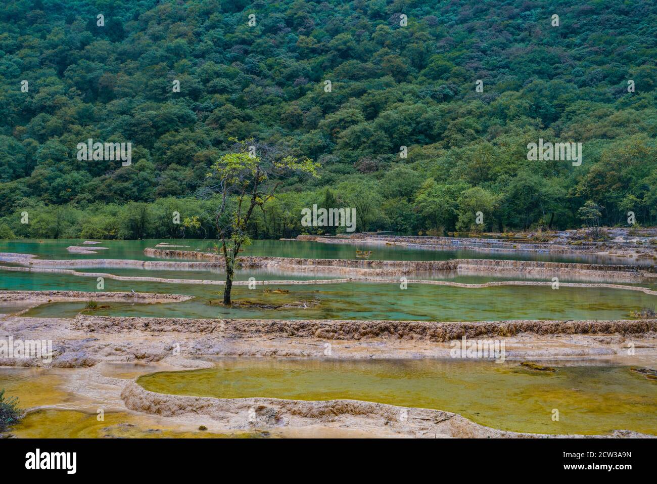 The turquoise color pools in Huanglong Valley, in Sichuan province ...