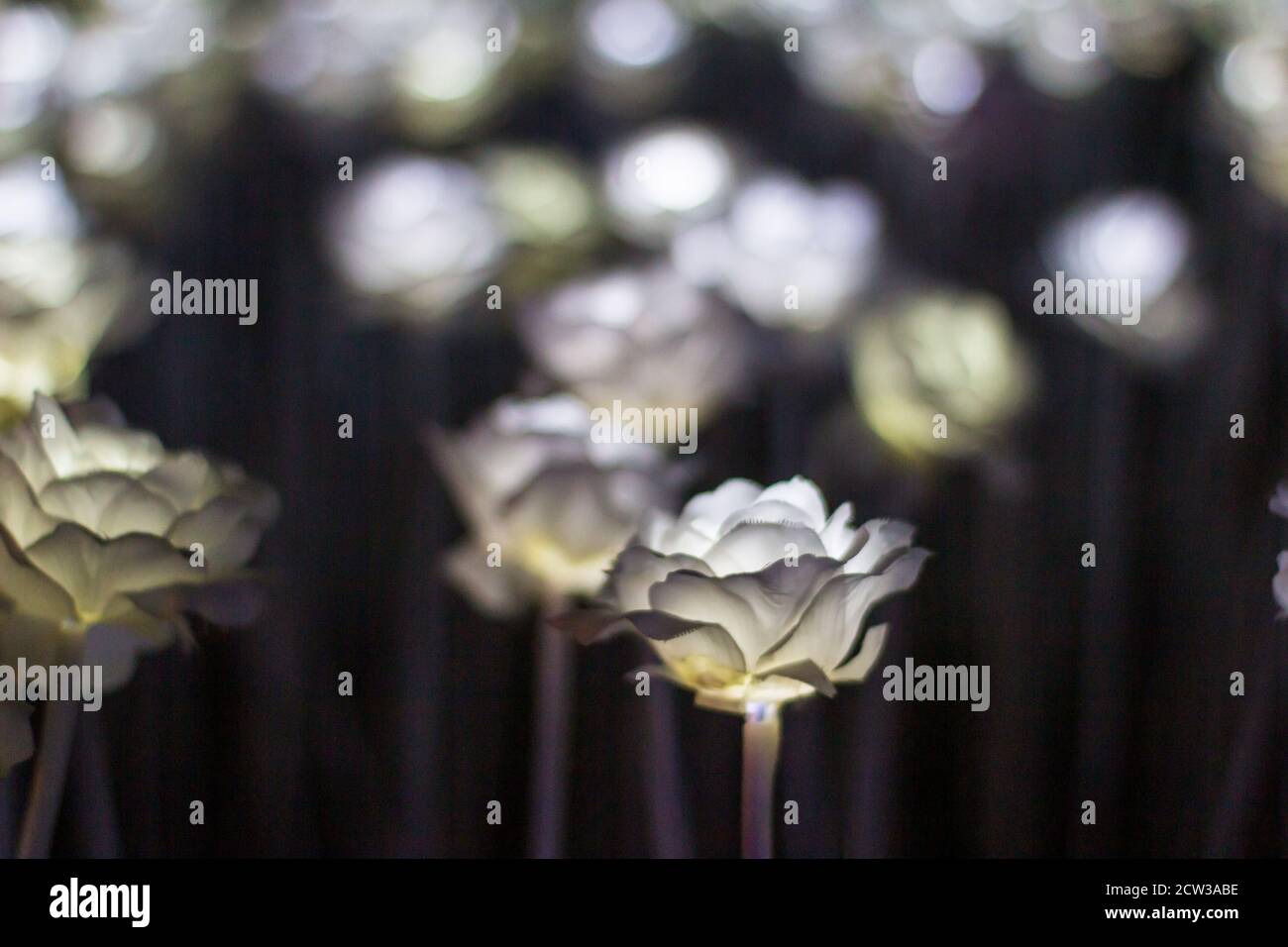 Plastic LED flowers lighted at night Stock Photo - Alamy