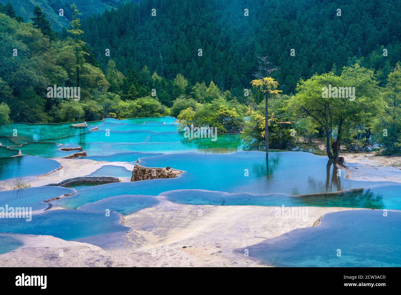 The turquoise color pools in Huanglong Valley, in Sichuan province ...