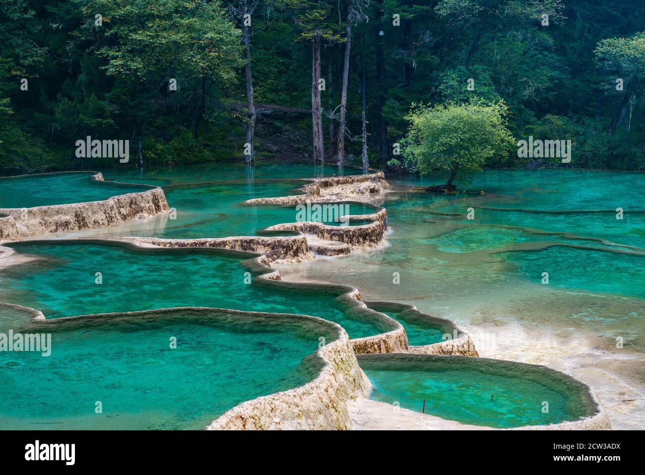The turquoise color pools in Huanglong Valley, in Sichuan province ...