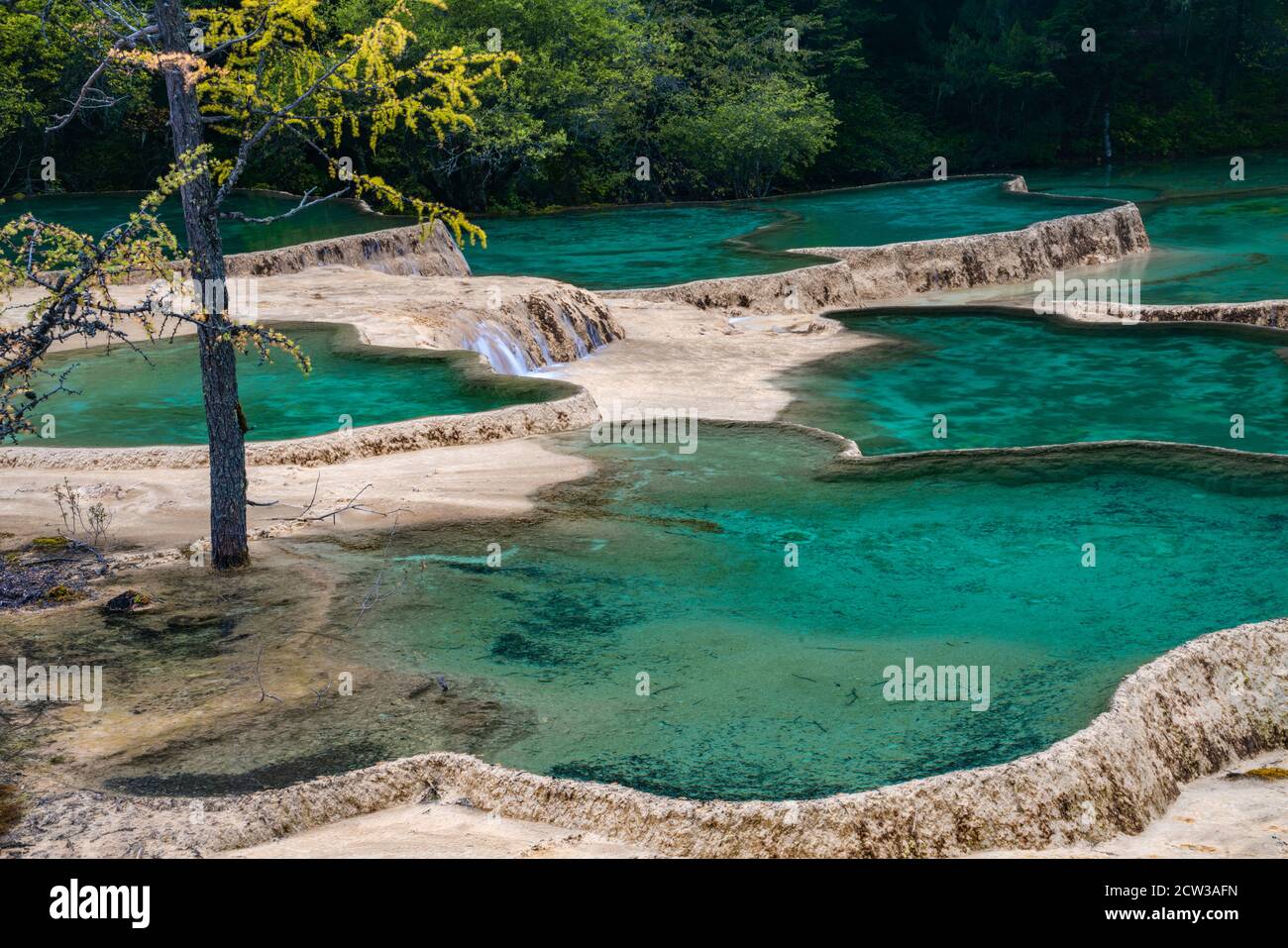 The turquoise color pools in Huanglong Valley, in Sichuan province ...