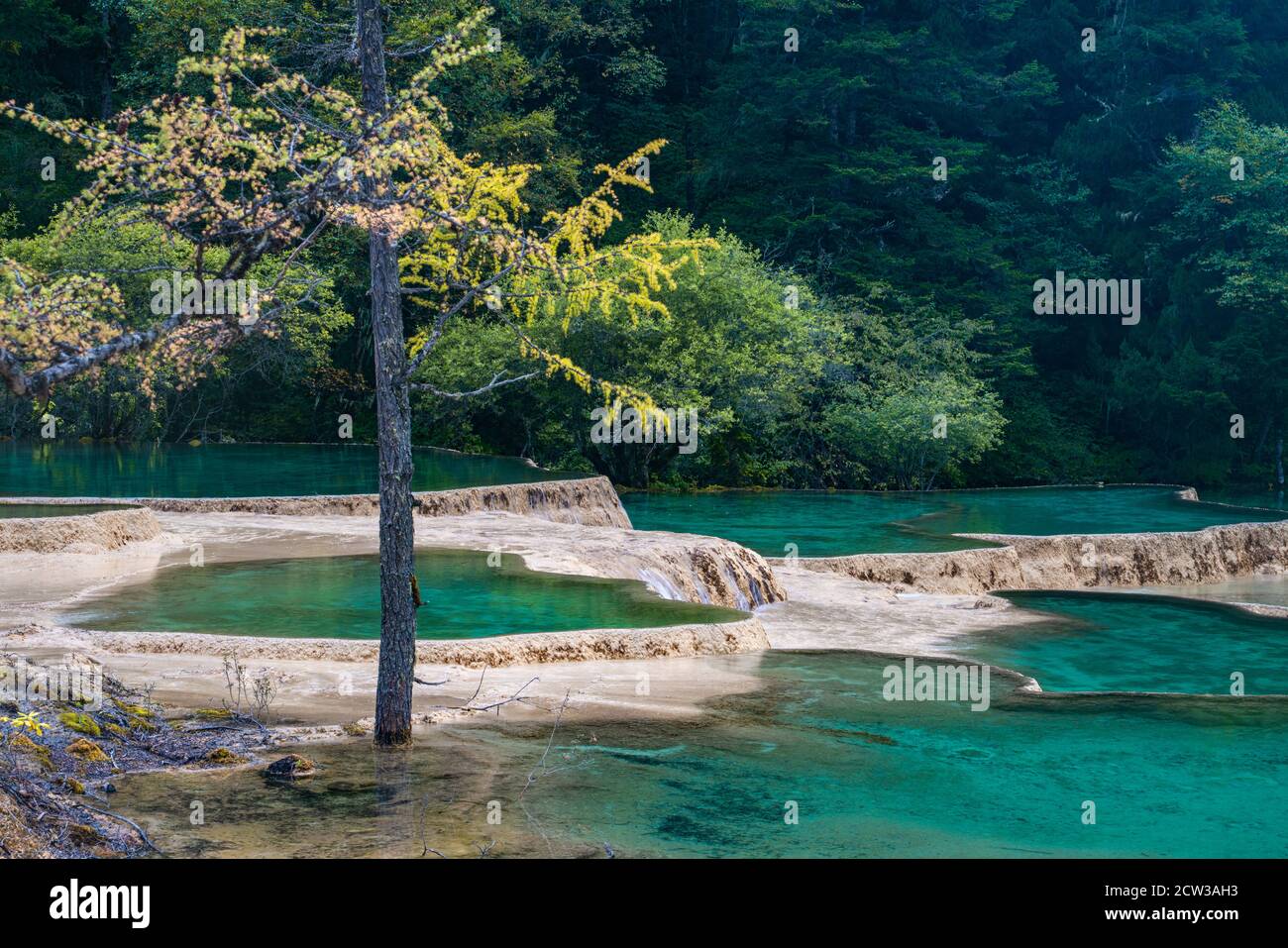 The turquoise color pools in Huanglong Valley, in Sichuan province ...