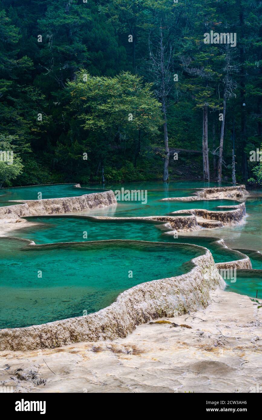 The turquoise color pools in Huanglong Valley, in Sichuan province ...