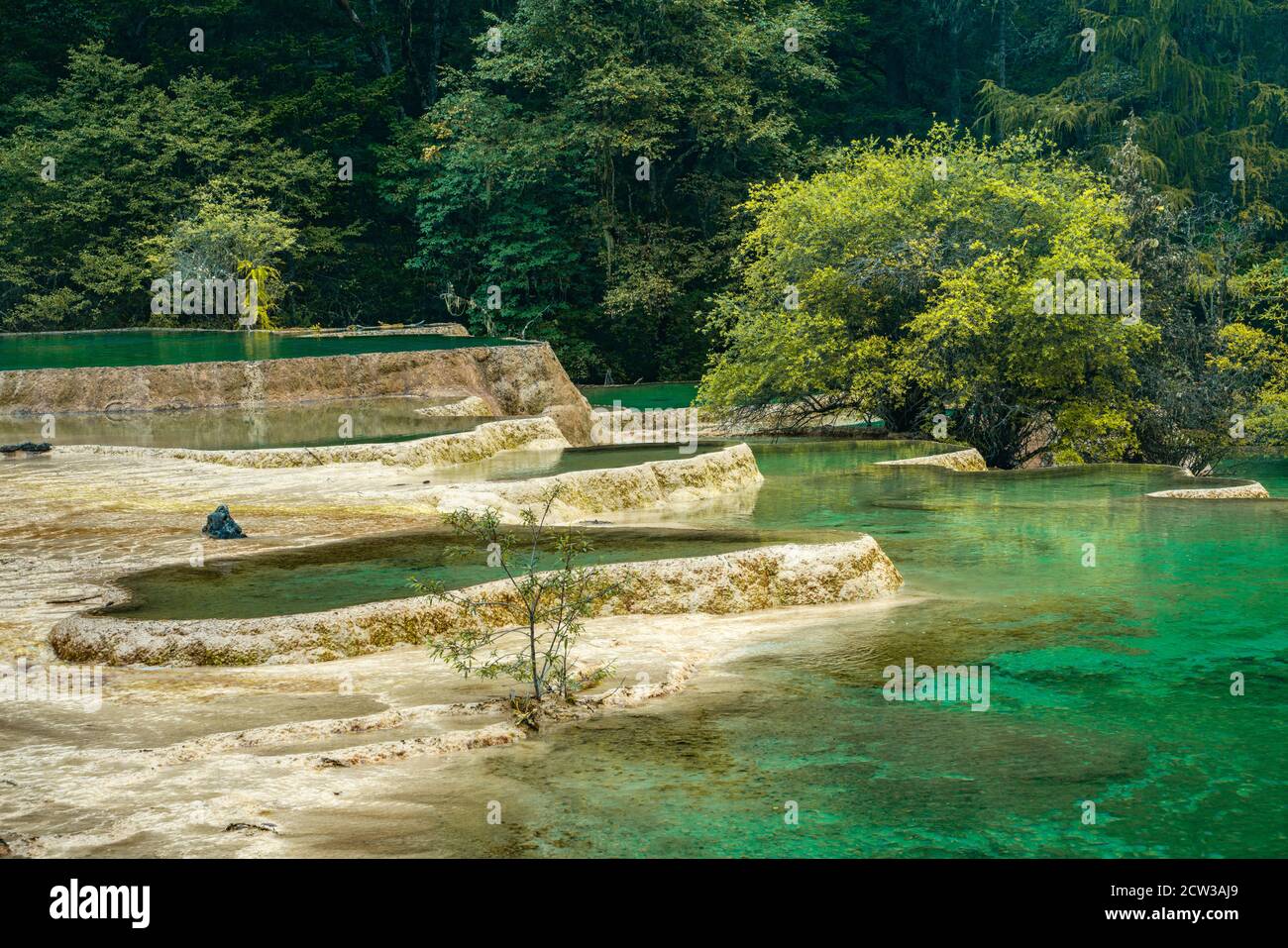 The turquoise color pools in Huanglong Valley, in Sichuan province ...