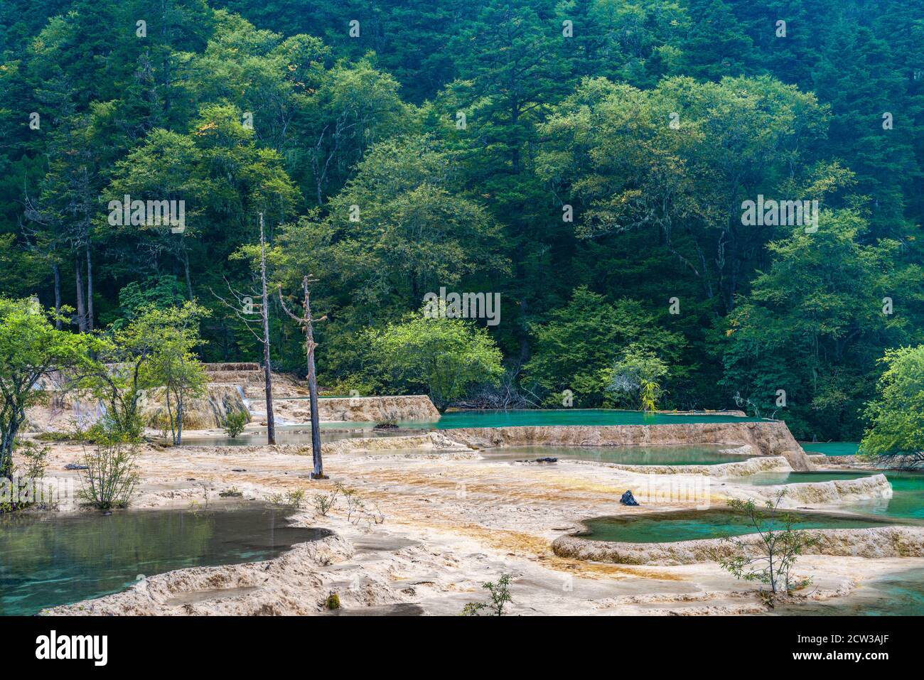 The turquoise color pools in Huanglong Valley, in Sichuan province ...
