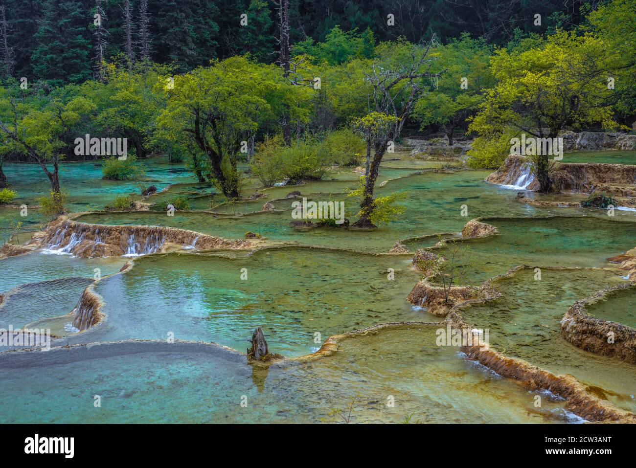 The small waterfalls and colorful pools in Huanglong Valley, Sichuan ...