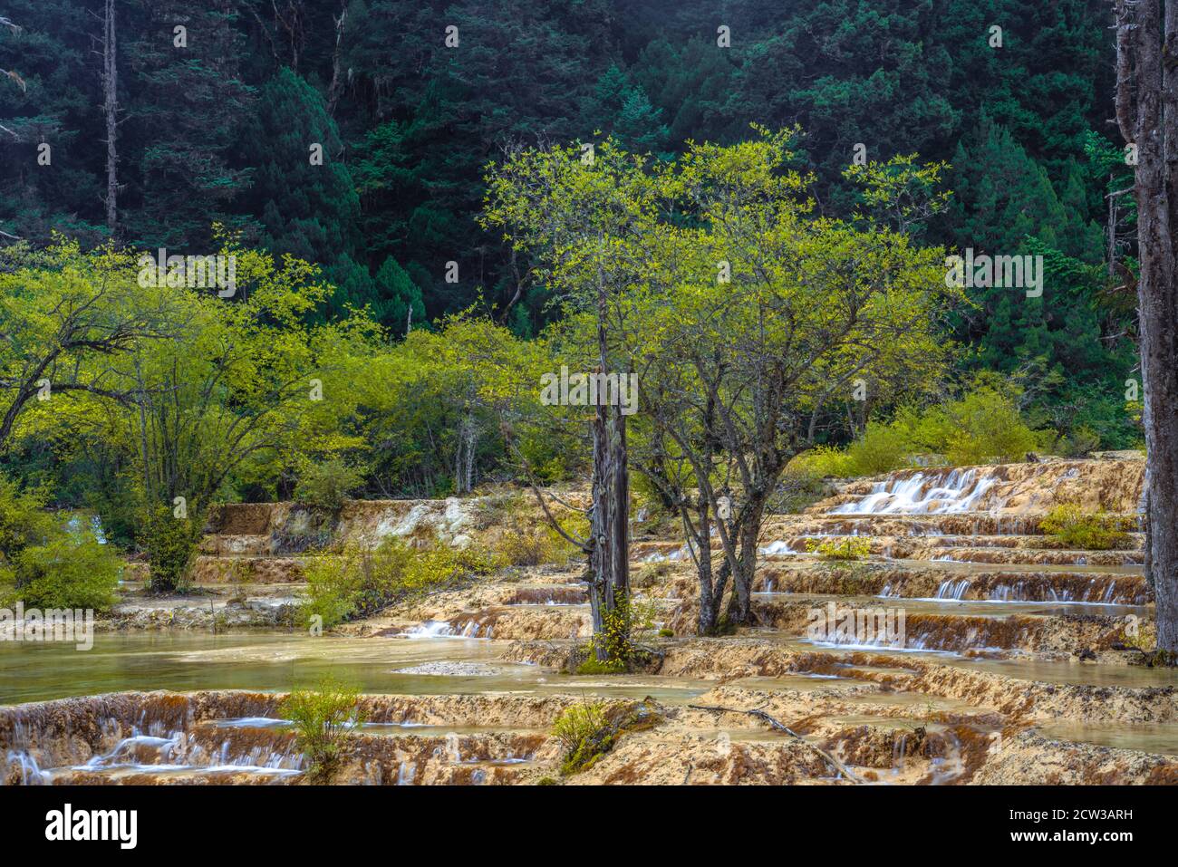 The small waterfalls and colorful pools in Huanglong Valley, Sichuan ...