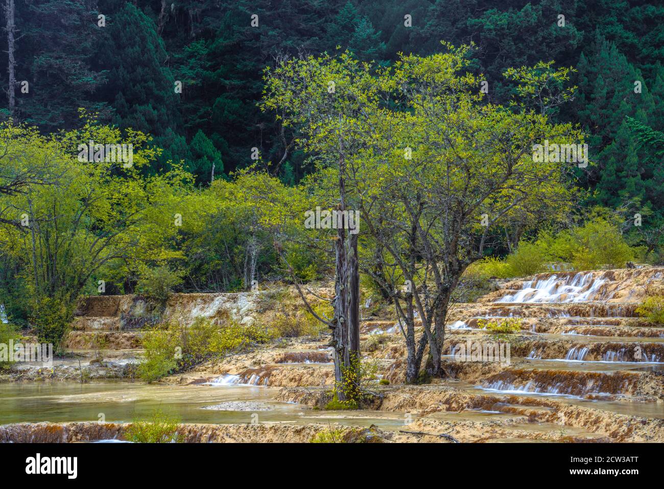 The small waterfalls and colorful pools in Huanglong Valley, Sichuan ...