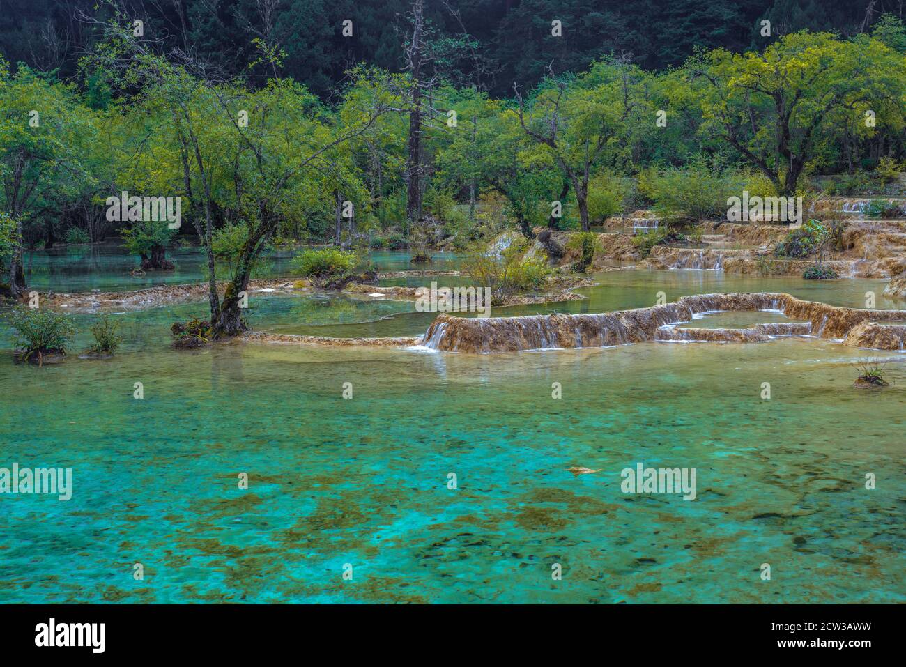 The turquoise color pools in Huanglong Valley, in Sichuan province ...
