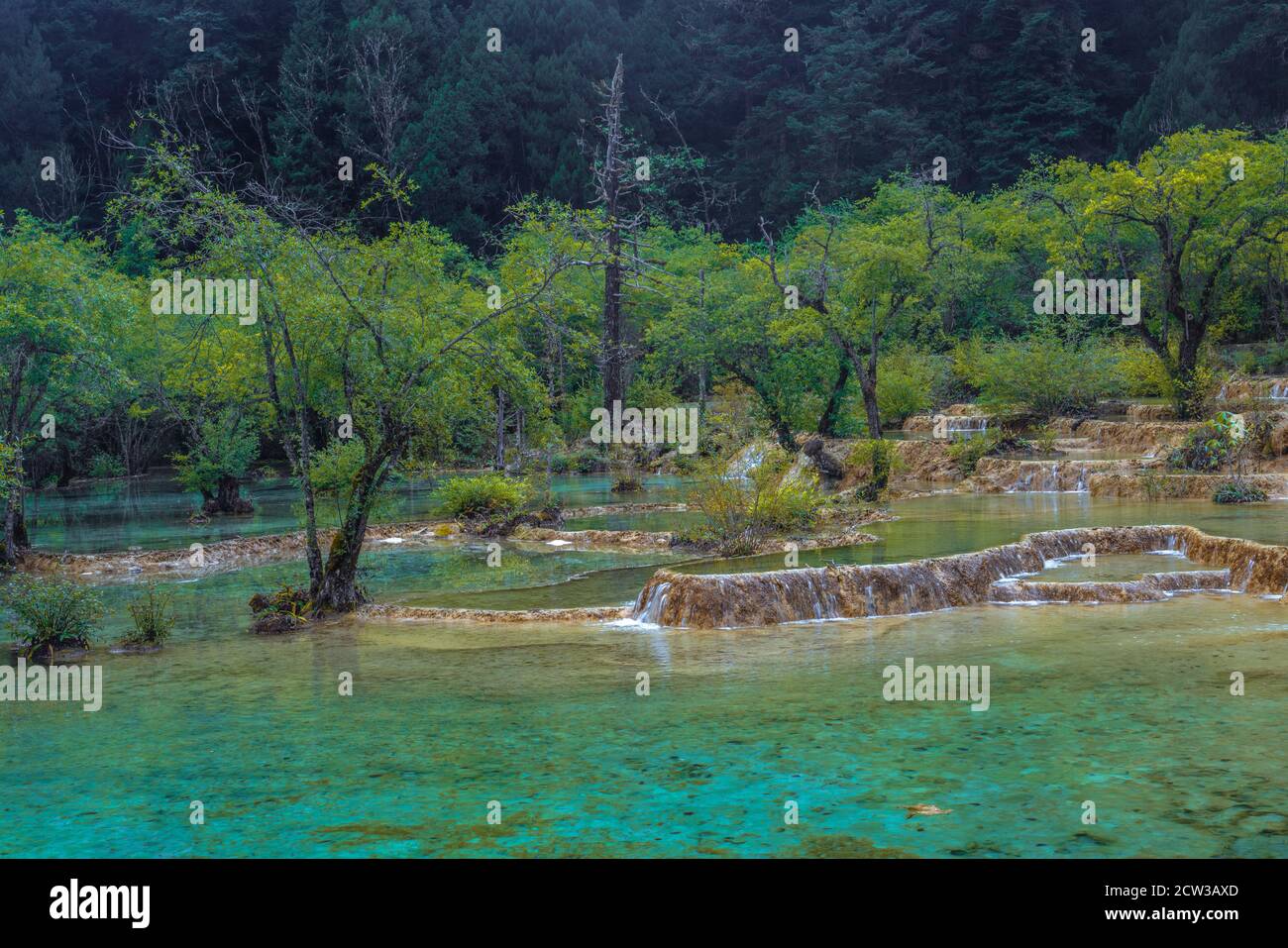 The turquoise color pools in Huanglong Valley, in Sichuan province ...