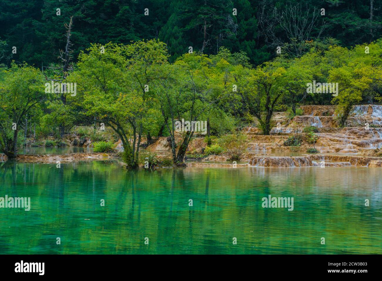 The turquoise color pools in Huanglong Valley, in Sichuan province ...