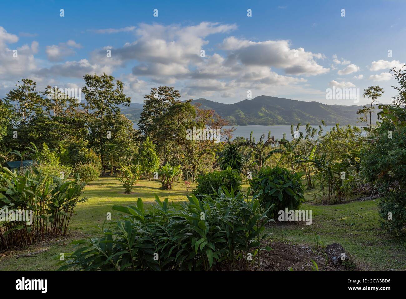 Park on the north shore of Lake Arenal in Costa Rica Stock Photo - Alamy