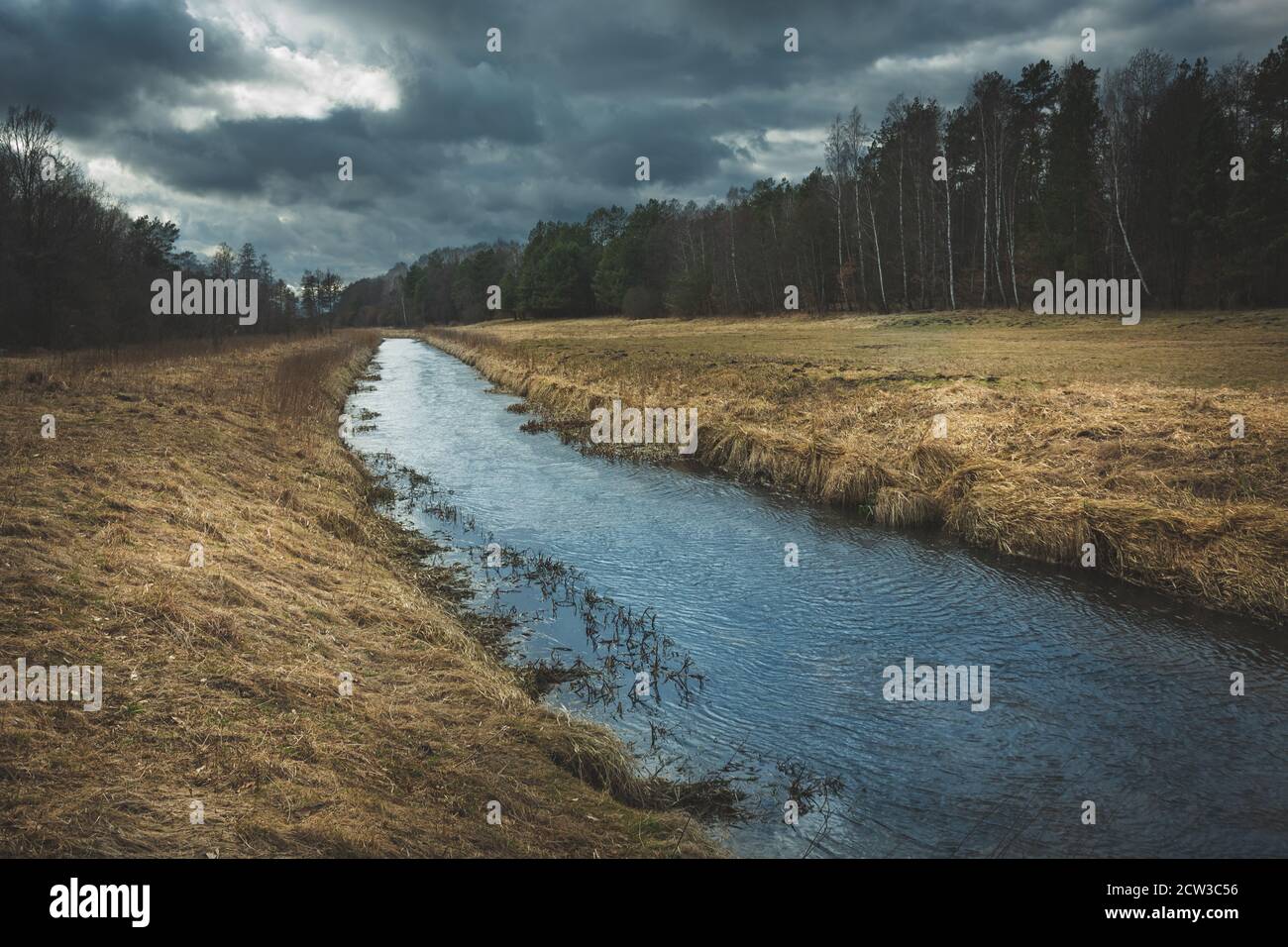 A small river flowing through dry meadows in the forest Stock Photo - Alamy