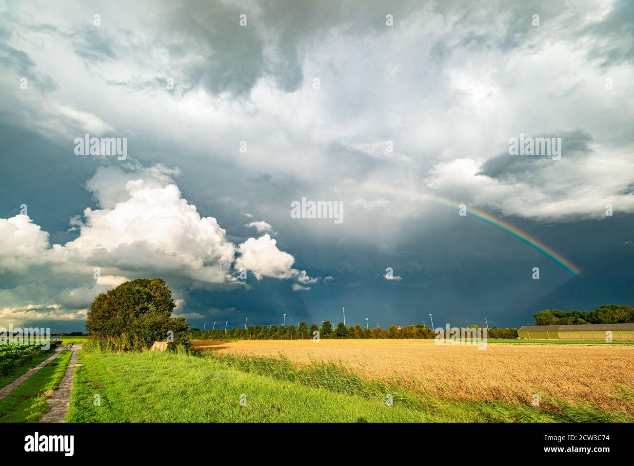 View of a high contrast sky with rainbow at the back of a thunderstorm ...
