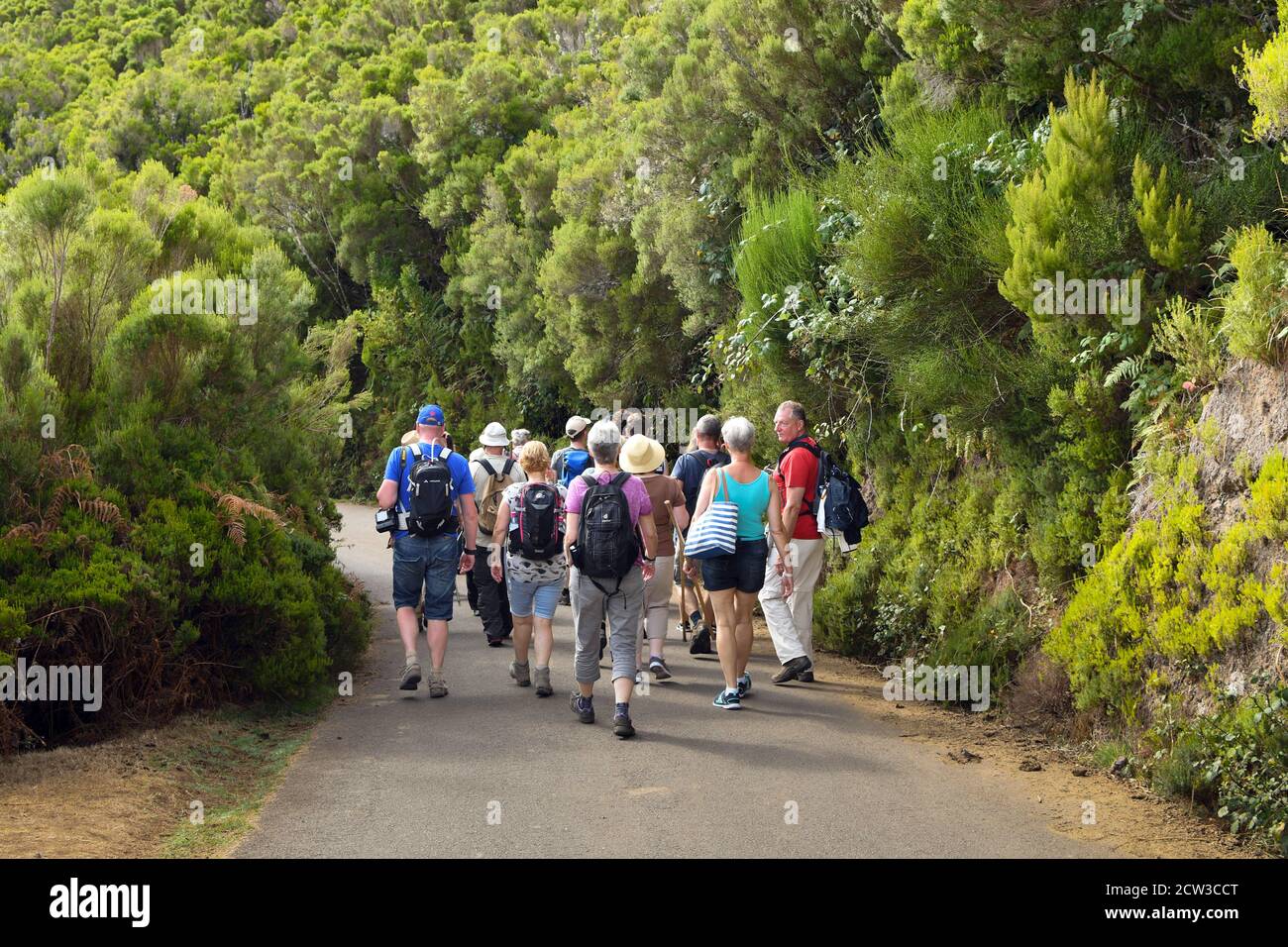 Madeira, Portugal - September 2017: A group of tourists set out on the ...