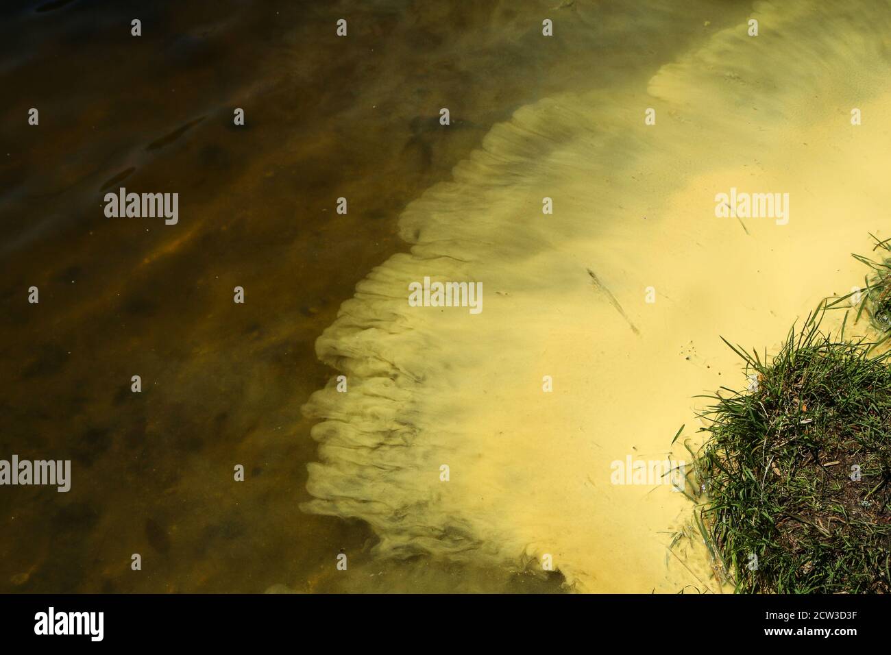 The layer of pollen floating on the water in spring. Symbol for season ...